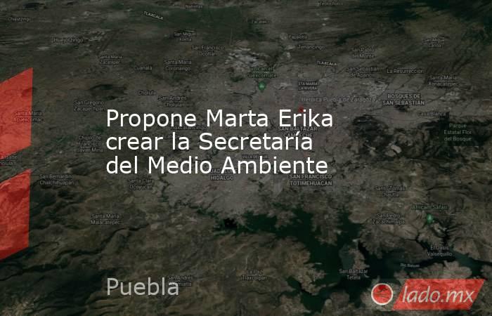 Propone Marta Erika crear la Secretaría del Medio Ambiente - Lado.mx