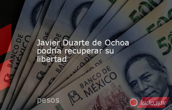 Javier Duarte de Ochoa podría recuperar su libertad - Lado.mx