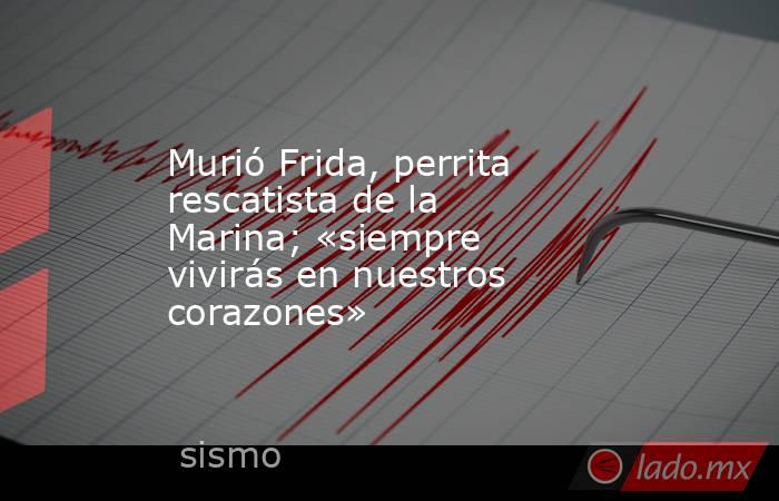 Murió Frida, perrita rescatista de la Marina; «siempre vivirás en ...