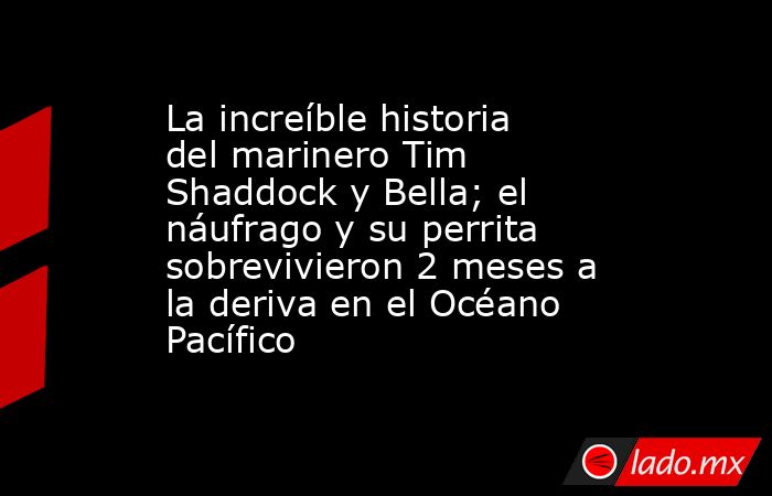 La increíble historia del marinero Tim Shaddock y Bella; el náufrago y ...