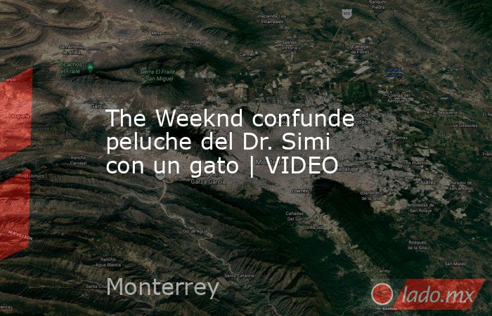 The Weeknd confunde peluche del Dr. Simi con un gato | VIDEO - Lado.mx