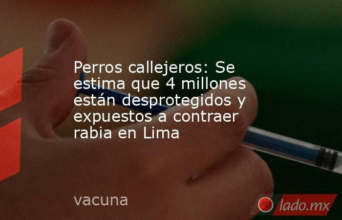 Perros Callejeros Se Estima Que 4 Millones Están Desprotegidos Y