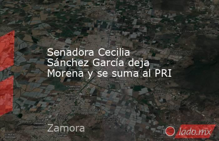 Senadora Cecilia Sánchez García deja Morena y se suma al PRI - Lado.mx