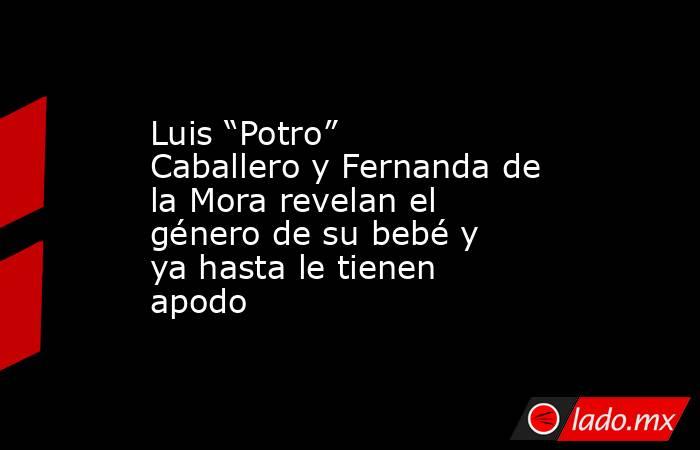 Luis “Potro” Caballero y Fernanda de la Mora revelan el género de su ...
