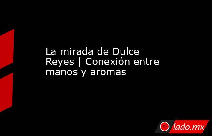 La mirada de Dulce Reyes | Conexión entre manos y aromas - Lado.mx