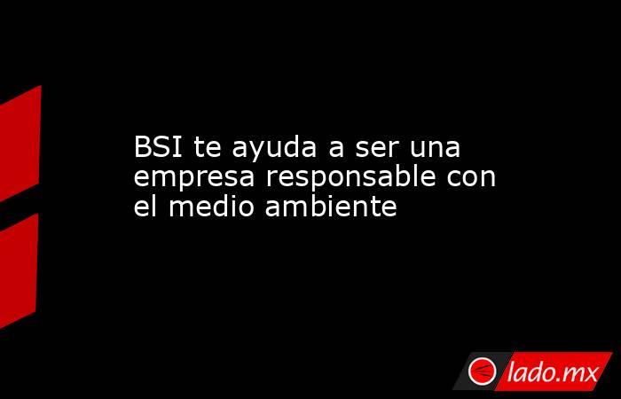 BSI te ayuda a ser una empresa responsable con el medio ambiente - Lado.mx