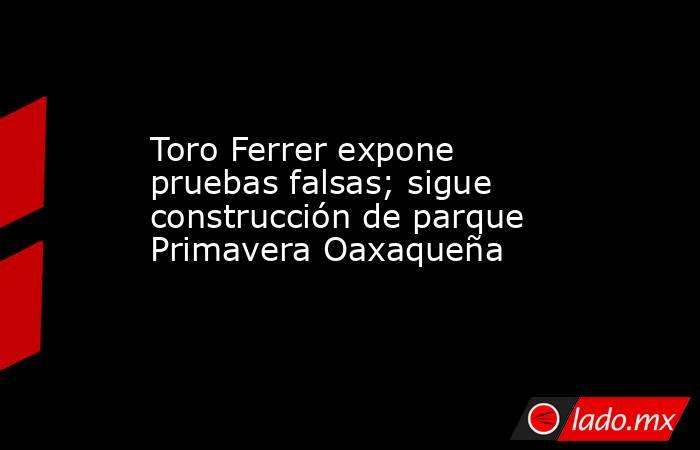 Toro Ferrer expone pruebas falsas; sigue construcción de parque ...