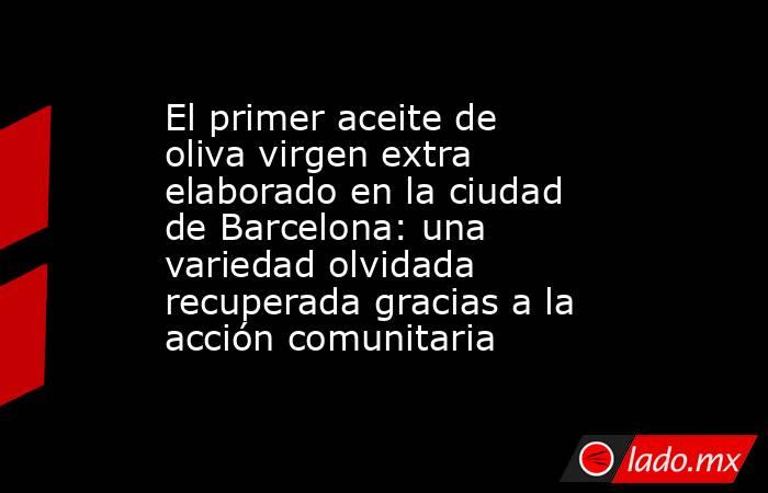 El primer aceite de oliva virgen extra elaborado en la ciudad de ...