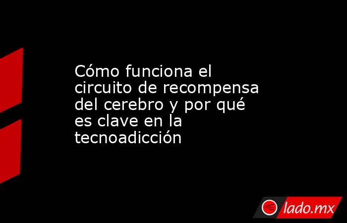 Cómo funciona el circuito de recompensa del cerebro y por qué es clave ...