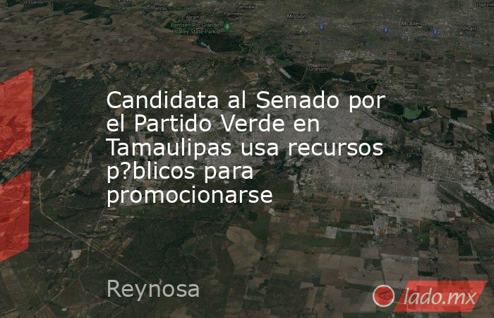 Candidata Al Senado Por El Partido Verde En Tamaulipas Usa Recursos P