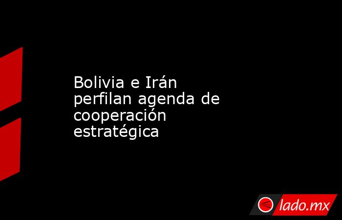 Bolivia e Irán perfilan agenda de cooperación estratégica - Lado.mx