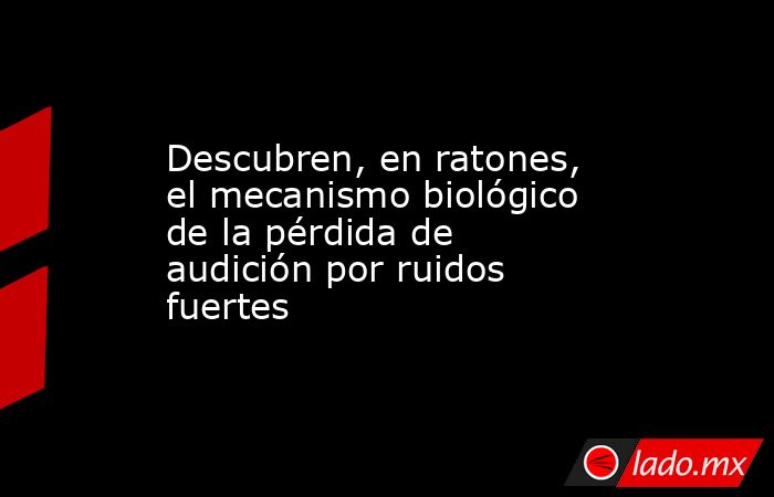 Descubren, en ratones, el mecanismo biológico de la pérdida de audición ...