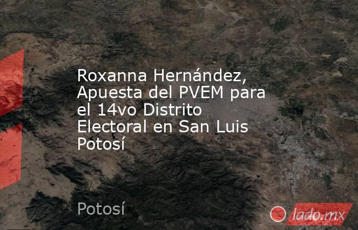 Roxanna Hernández, Apuesta del PVEM para el 14vo Distrito Electoral en ...