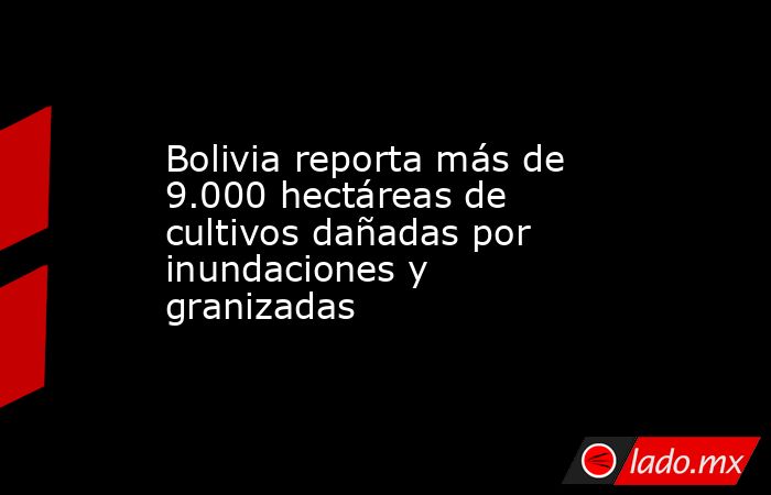 Bolivia Reporta Más De 9 000 Hectáreas De Cultivos Dañadas Por