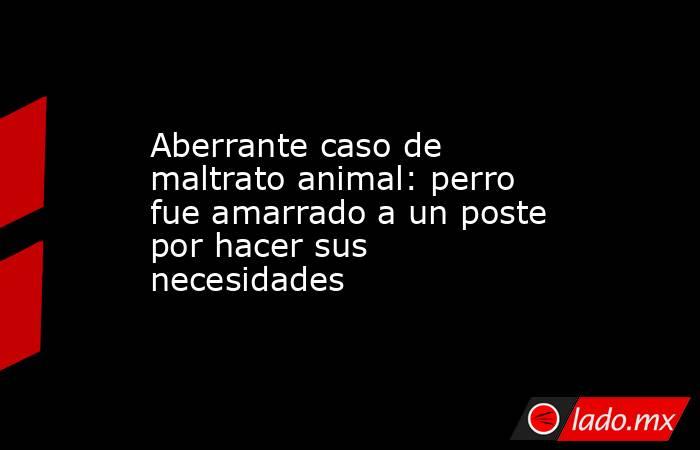 Aberrante caso de maltrato animal: perro fue amarrado a un poste por ...