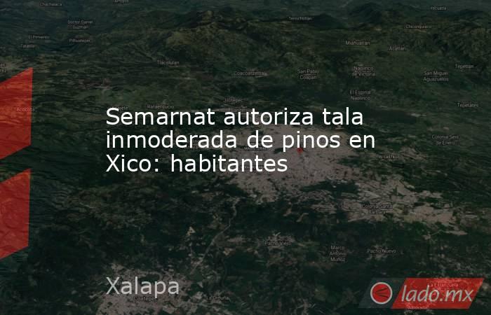 Semarnat autoriza tala inmoderada de pinos en Xico: habitantes - Lado.mx
