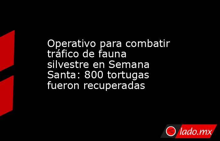 Operativo para combatir tráfico de fauna silvestre en Semana Santa: 800 ...
